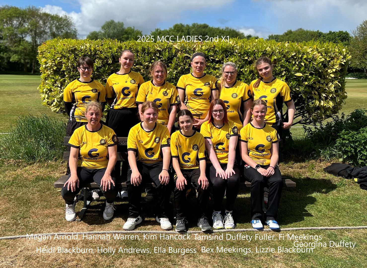Mildenhall Cricket Club - Official Website