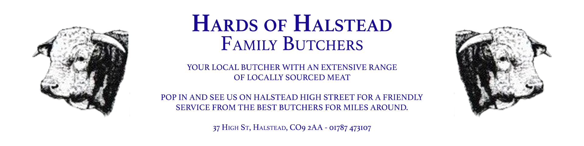 Halstead Cricket Club home page