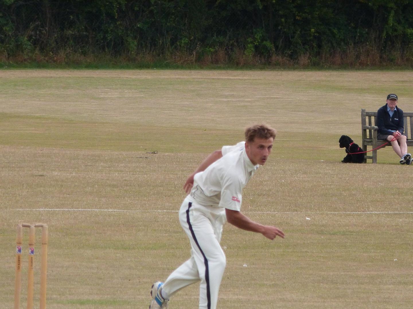 Kings Langley Cricket Club home page