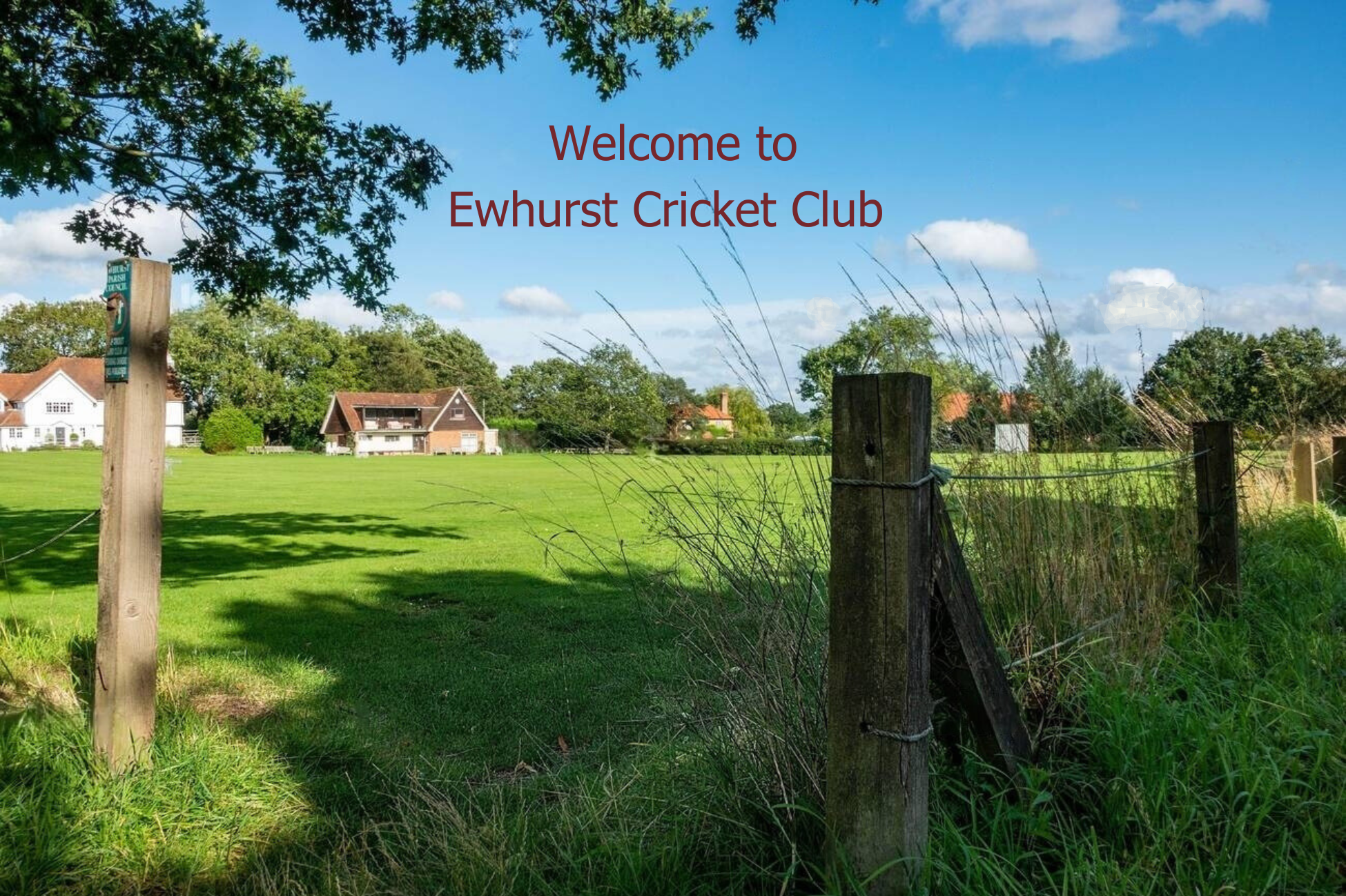 EWHURST CRICKET CLUB : home
