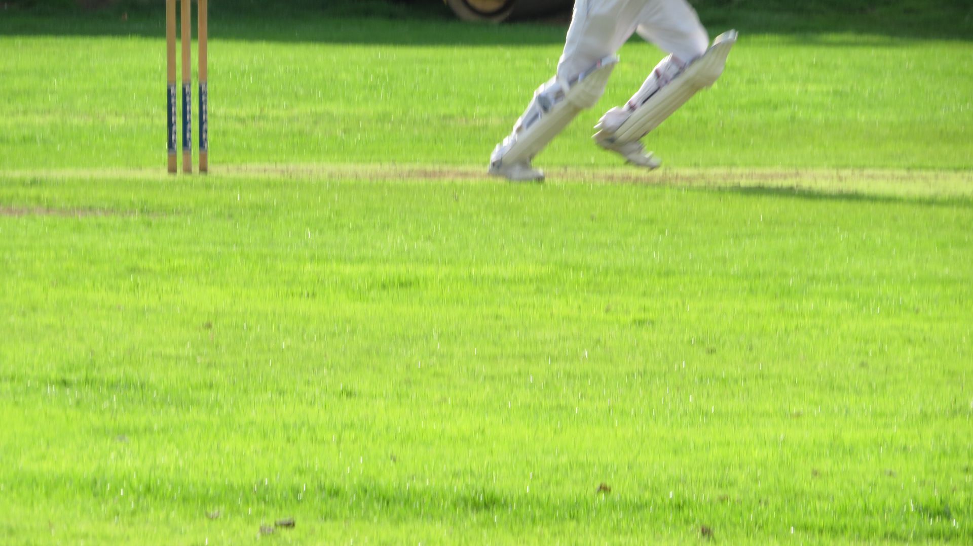 Ilford Cricket Club: Home